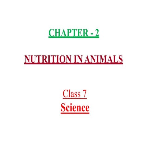 Grade 12 Agricultural Science Notes Animal nutrition | DOC