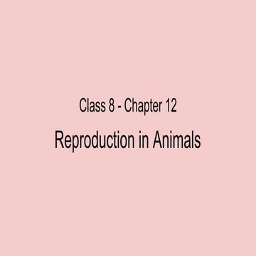 Reproduction in Animals Class 8 basic concepts | PPTX