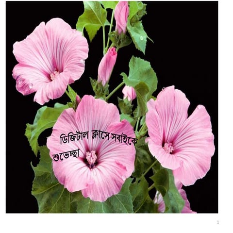 Class 8 science chapter 5 lesson 1 | PPT