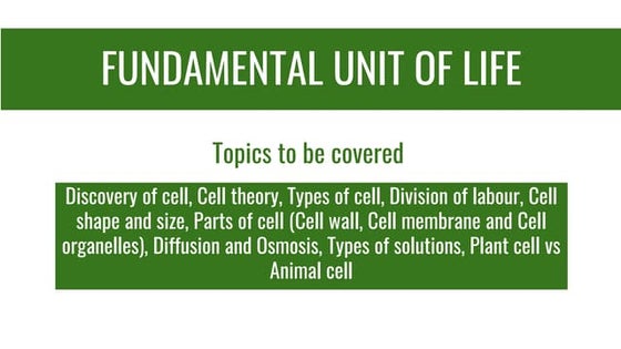 types of animal tissues class 9 | PPTX | Bone and Joint Conditions | Diseases and Conditions