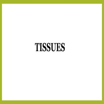 9th Biology - Chapter 2 Tissues.pptx