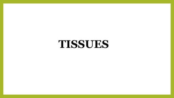 Tissues Class 9 ppt | PPT