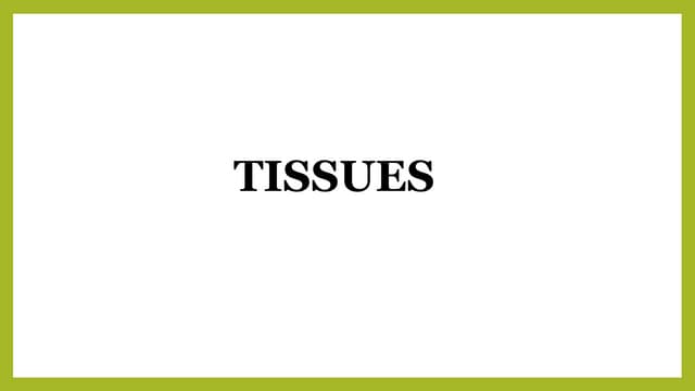 Tissues Class 9 ppt | PPTX