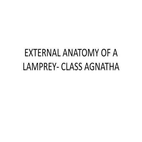 Agnathans 2 | PPT