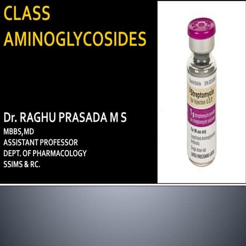 Class aminoglycosides 2 | PPTX | Pharmaceutical Drugs | Medical Health