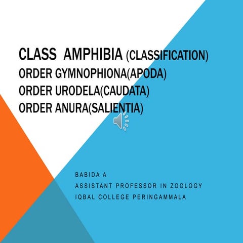 Class Amphibia | PPTX