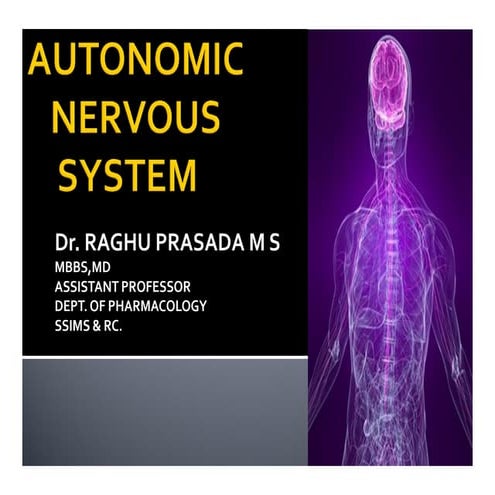 Autonomic Nervous System - Physiology | PPT