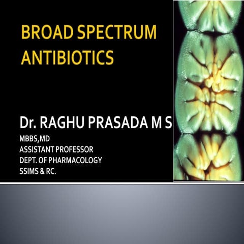 Class broad spectrum antibiotics | PPTX