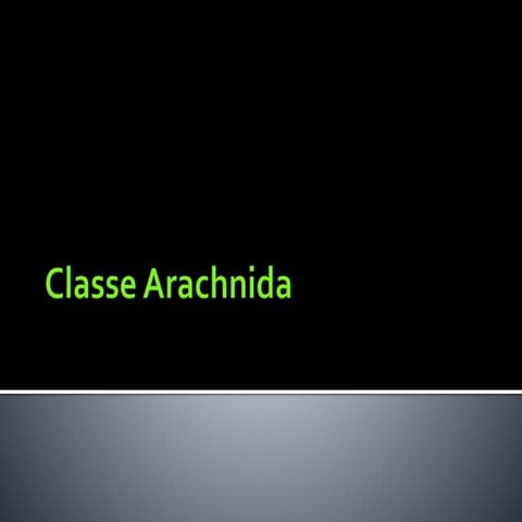 Classe arachnida | PPTX