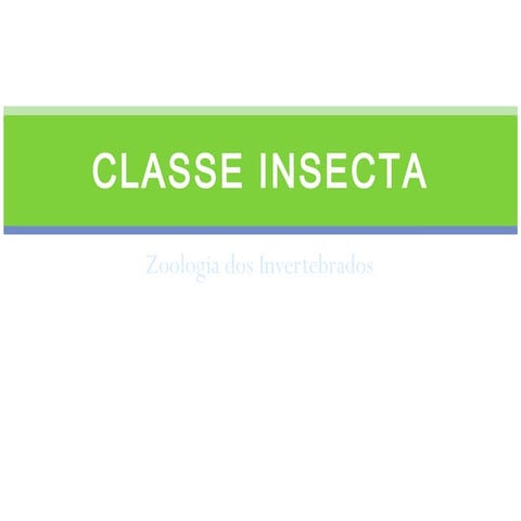 Classe insecta | PPT