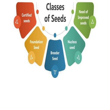 Seed Certification - classes of seeds.pptx