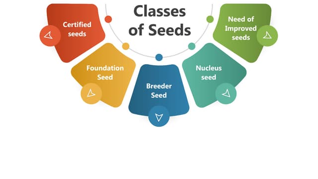 Classes of Seeds / Classification of Seeds / Category of Seeds | PPTX