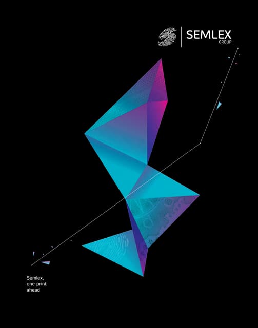 Semlex Group : Introduction | PDF