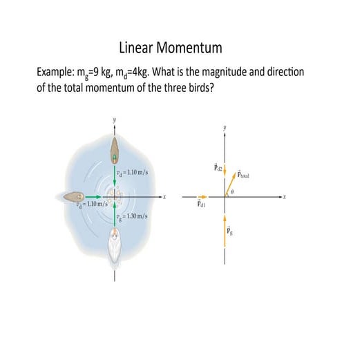 ClassExamples_LinearMomentum.pdf