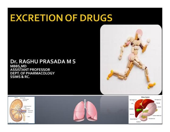 Drug Excretion | PPTX