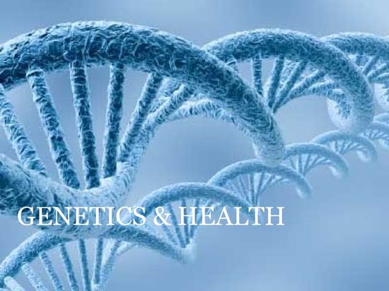 Hospital information system | PPT | Cloud Computing | Internet