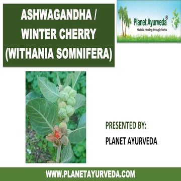 Classical Synonyms and Categorization of Ashwagandha in Ayurveda.pptx