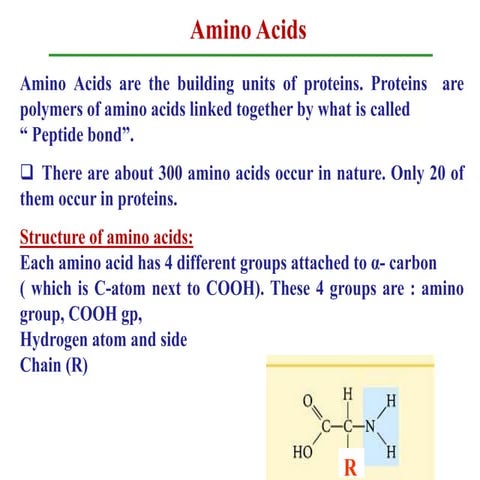 20 Amino Acids Proteins Classif. Amino Acids Proteins | PPT