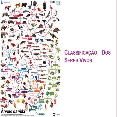 Classificação dos seres vivos | PPT