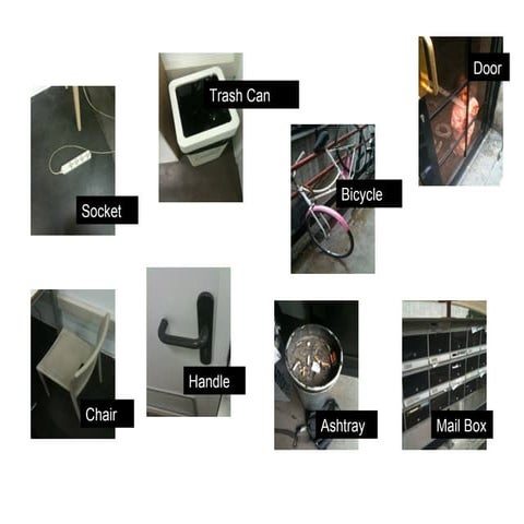 Classification | PPT | Home Appliances | Home & Garden