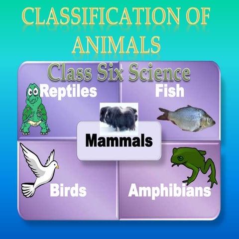 Classification.pptx