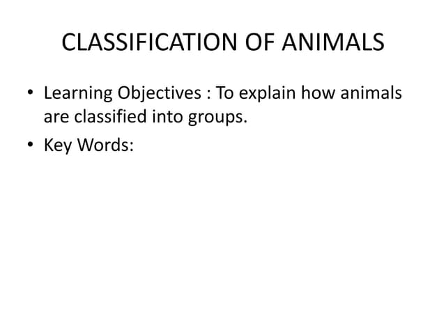 Lesson plan on classification of animals | DOC