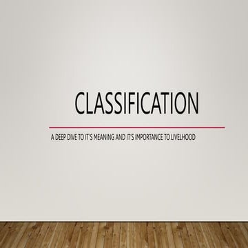 classification,a deeper dive to the word.pptx