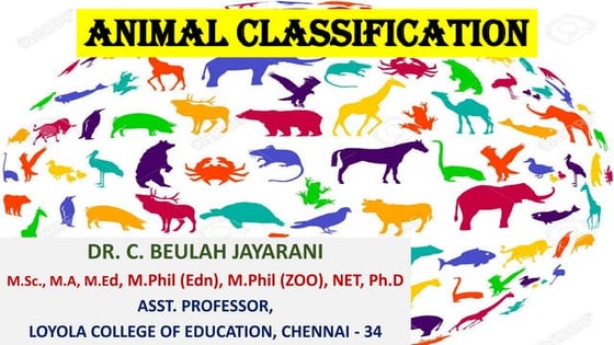 BIOLOGY ANIMAL KINGDOM CLASS. 11 NCERT.. | PPTX