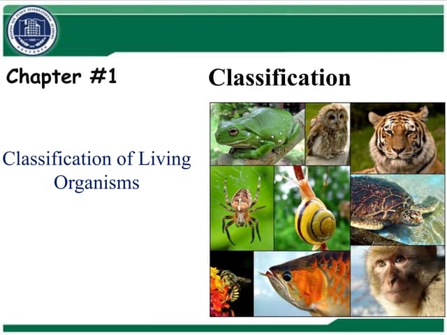 The-Characteristics-and-Classification-of-Organisms.pptx