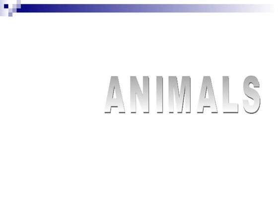 Introduction to animal form & function | PPTX