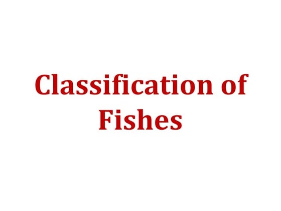 Skeleton of fishes | PPTX