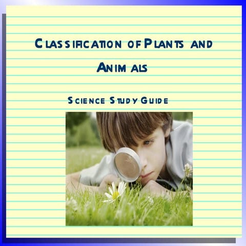 Lesson plan on classification of animals | DOC