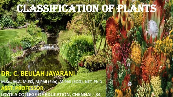 R-The-Classification-of-Plants 20201317.ppt
