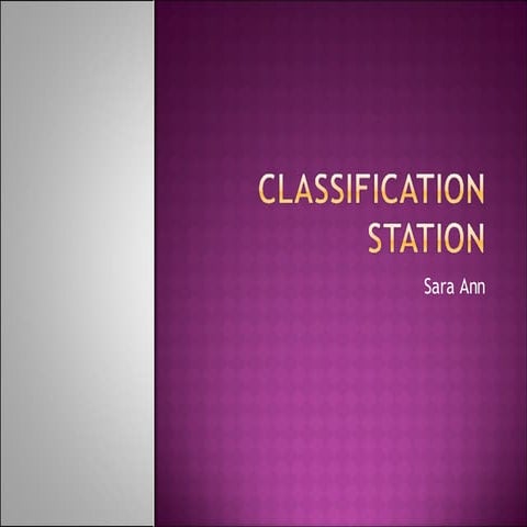 Classification Station | PPT