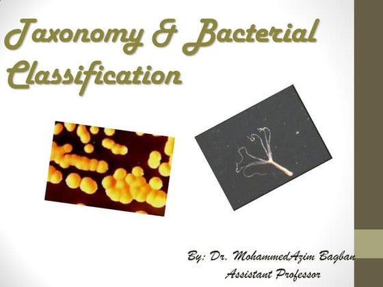 Bergey’s manual of bacterial classification | PPTX