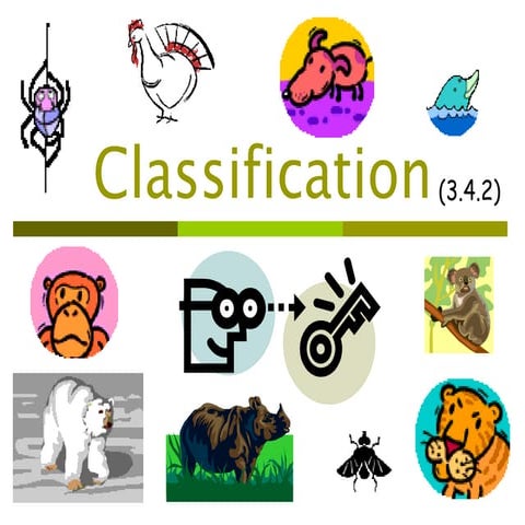 Classification%20 powerpoint[1] | PPT