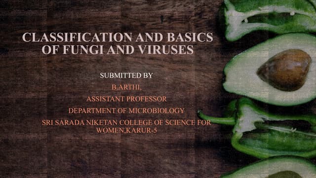 CLASSIFICATION AND BASICS OF ALGAE AND PROTOZOA.pptx