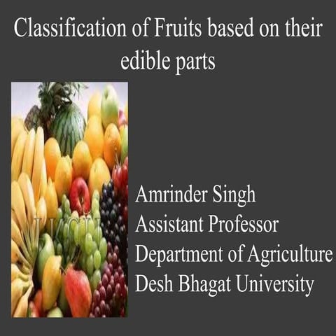 classification fruit ppt.pptx