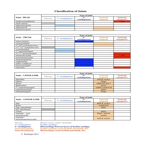 Anatomy of Joints & its classification | PPTX