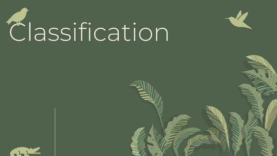 Classification of living things | PPT