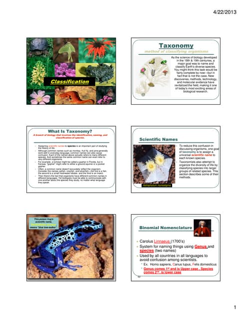 Phylogeny & classification | PPT | Biological Sciences | Science