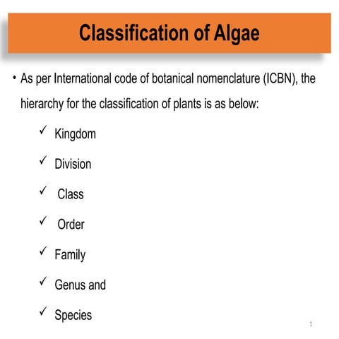 Classification of Algae, cyanophyceae 2025.pptx