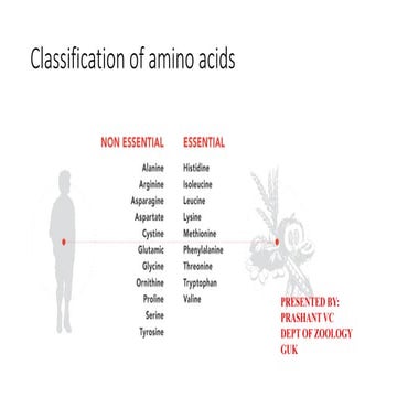 Classification Of Amino Acids Amino Acid Structure And Classifications