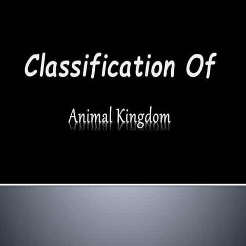 Classification Of Animal Kingdom syllabus.pptx