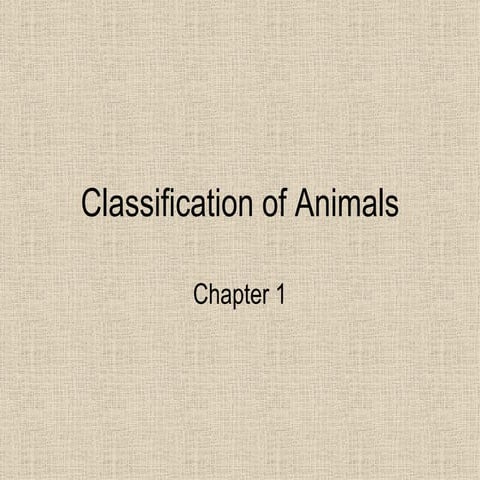 animals | PPT