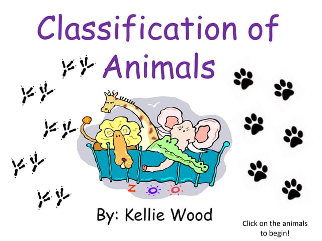Lesson plan on classification of animals | DOC