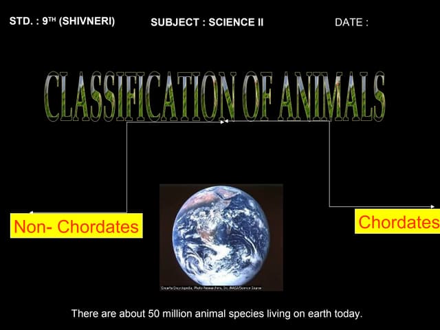 Classification of animals | PPT