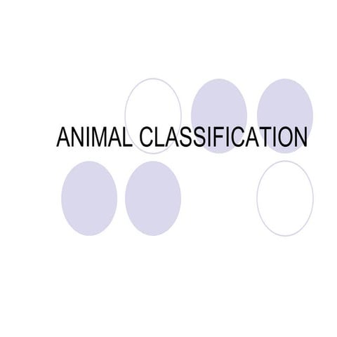 Classification of animalm kknolnolmomos.pptx