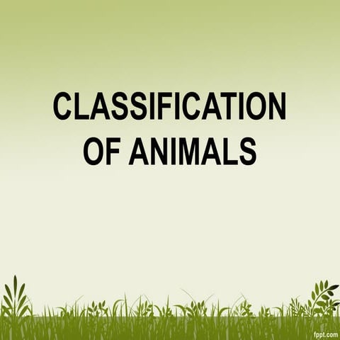 Lesson plan on classification of animals | DOC