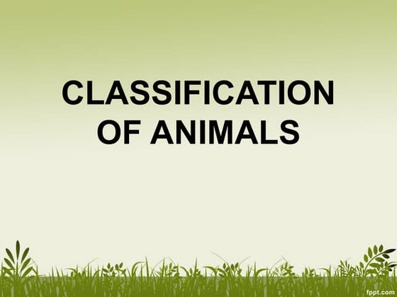 Lesson plan on classification of animals | DOC
